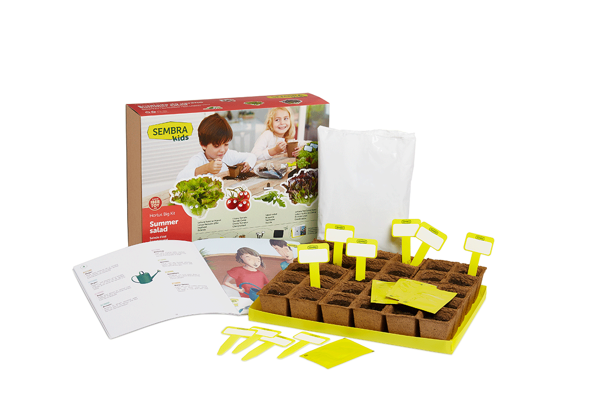 Children's Summer Salad Grow Kit – www.gardengames.ie